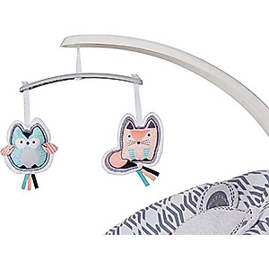 Fisher-Price See & Soothe Deluxe Bouncer