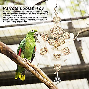 Rosvola Parrots Loofah Toy, Bird Rattan Ball String Firm for Play Toy for Large/Medium Size Parrots for Parrots Bite