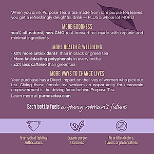 Purpose Tea - Bottled Iced Tea, All Natural Brewed Organic Purple Leaves, Unsweetened, Pure, Non-GMO, High in Antioxidants and Anthocyanins, Healthy Drinks - 16 oz (Variety Pack, 12 Pack)