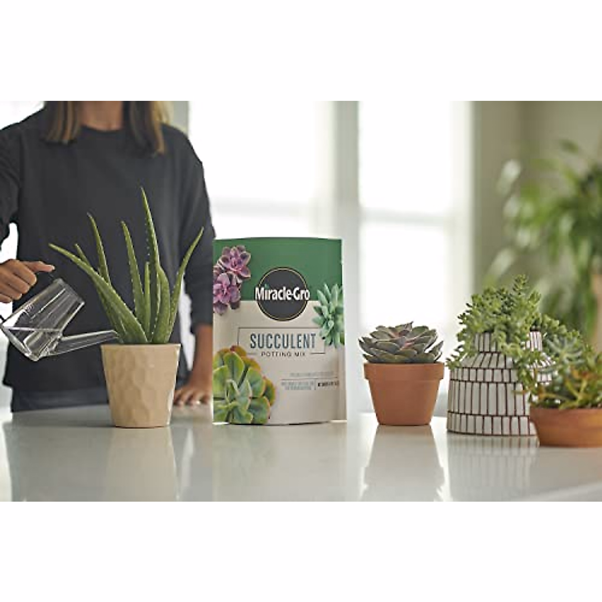 Miracle-Gro Succulent Potting Mix - Fertilized Soil with Premium Nutrition for Indoor Succulents, 4 qt. (2-Pack)