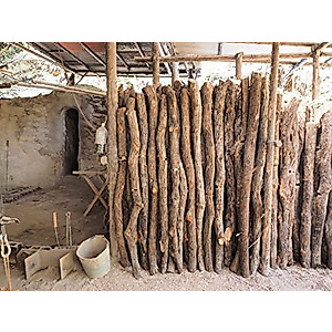 Kishu Binchotan Japanese Premium Charcoal Refill Water Filter Long From Kii Mountains Japan, Black