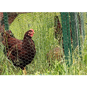 Chicken Wire, 2 Rolls of 15.7“ ×393.7” Chicken Wire Net for Craft, Chicken Wire Fence Mesh with Plier, Protective Gloves, Cable Zip Ties for Crafts Garden Poultry Chicken Coops Rabbit Rodent Cage