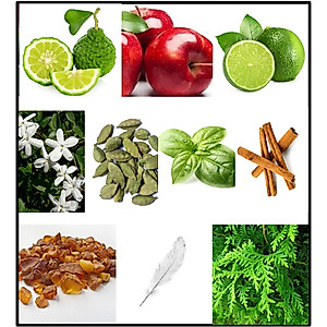 Fila BLACK for Men - Invigorating Spicy And Floral Fragrance For Him - Extra Strength, Long Lasting Scent Payoff For All-Day Wear - Trendy, Rectangular, Streamlined, Portable Bottle Design - 8.4 Oz