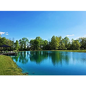 Pond Worx Blue Lake and Pond Dye - 4X Concentrated Liquid Pond Colorant – Shades and Protects Your Pond, Treats up to 1 Acre –1 Quart