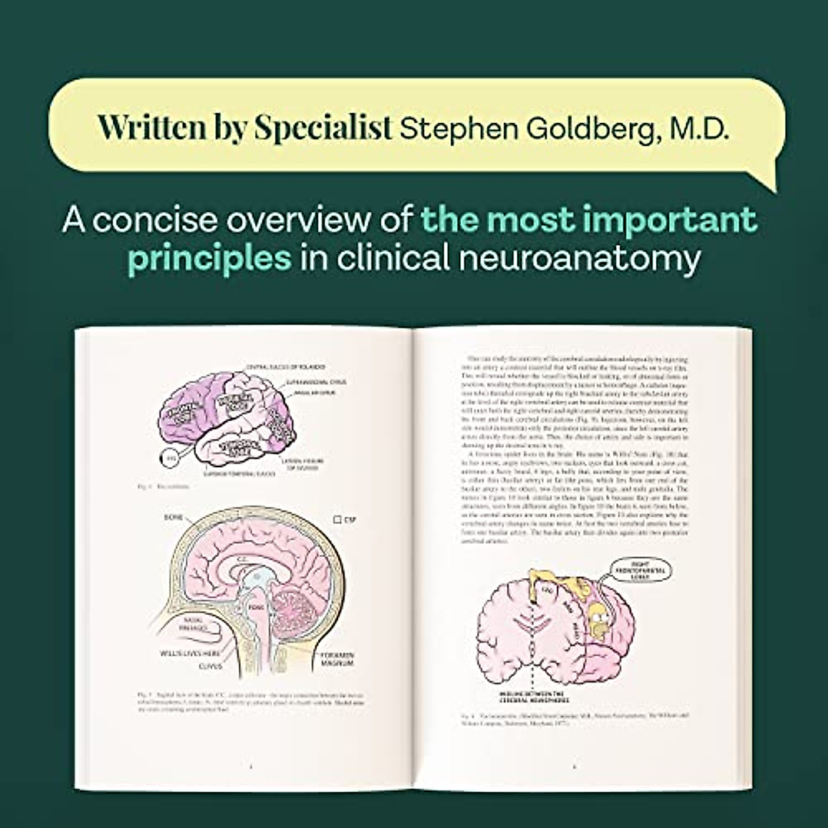 Clinical Neuroanatomy Made Ridiculously Simple: Color Edition