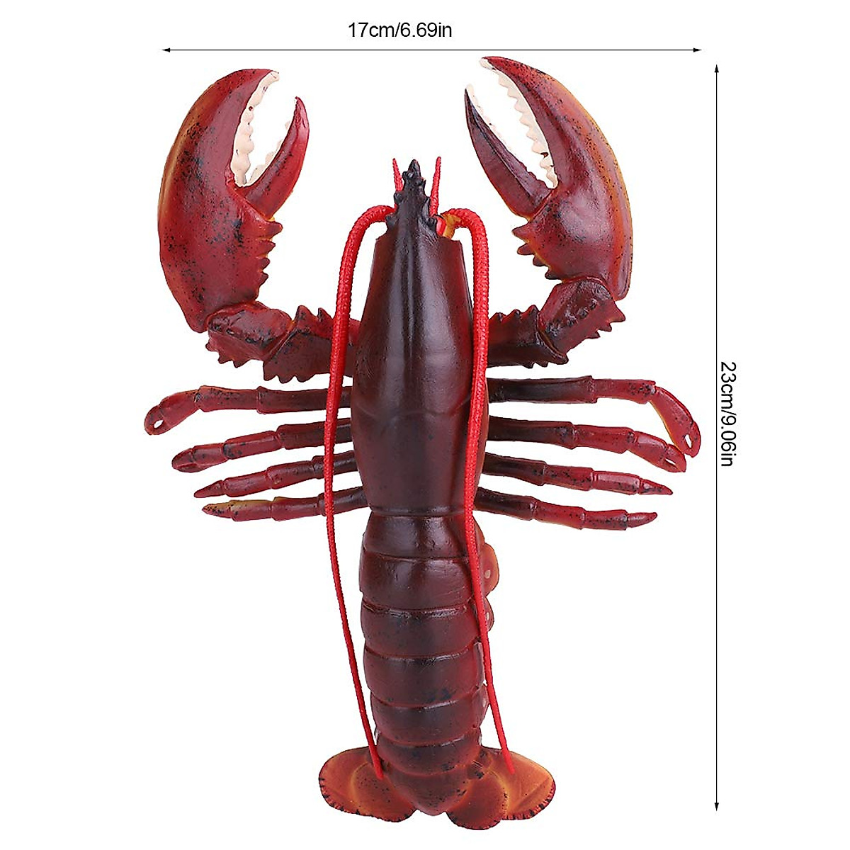 GLOGLOW Lobster Model, Artificial Lobster Seafood Model Simulation Lobster Model Plastic Lobster Decorations for Home Party Decoration Display Kids Toy(Dark-Australian Lobster, 9 in)