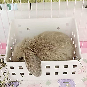 Tfwadmx Rabbit Hay Feeder Hay Rack Manager Holder Plastic Food Bowl Use for Grass Ideal for Bunny Guinea Pig