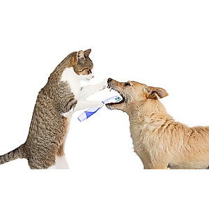 Bad Breath cat Treats - Pets Teeth Health Complex - for Dogs and Cats - Support Oral Care - Vitamin c for Cats - 2 Bottles (120 Tablets)