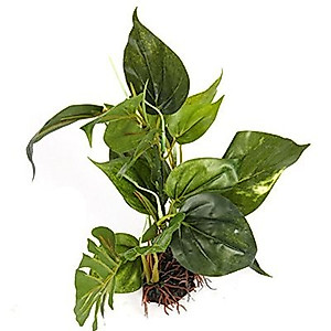 CNZ® Aquarium Fish Tank Green Lifelike Underwater Plastic Plant Aquatic Water Grass Decor (Large, 13-inch)