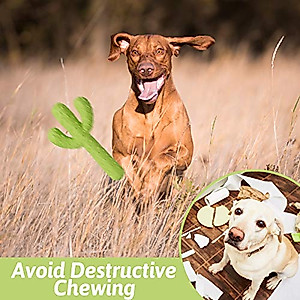 MewaJump Dog Chew Toys, Durable Rubber Dog Toys for Aggressive Chewers, Cactus Tough Toys for Training and Cleaning Teeth, Interactive Dog Toys for Small/Medium Dog