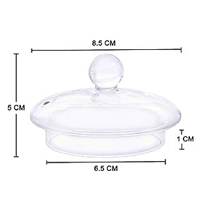 Teabloom Replacement Glass Lid Celebration Glass Teapot - Will Not Fit Other Glass Teapots