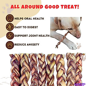 Amazing Dog Treats 6" Braided Bully Stick (10 Pcs/Pack) - Bully Stick for Dogs - Made from Premium Grass Fed Argentinian Beef