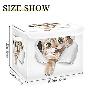 RunningBear Cartoon Cute Cat Large Storage Bins with Lid Collapsible Storage Bin Shelves Basket Clothes Toys Bin for Home Toys Clothes