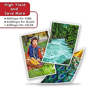 PGI-280 XXL/CLI-281XXL Compatible Ink Cartridges Replacement for Canon 280 281 Ink Cartridges PGI-280XXL CLI-281XXL Ink Canon PIXMA TR8520 TR8620 TS6120 TS6320 TS8220 TS8320 TS9120 Printer (5 Pack)