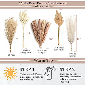 VELOVA Set of 3 White Ceramic Vase with 65 PCS Dried Pampas Grass Flowers Aesthetic Boho Modern Small Round Cute Vases for Decor Living Room Coffee Table Shelf Bedroom Office Desk Home Gifts Women Mom