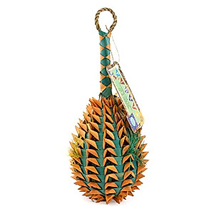 Planet Pleasures Pineapple Pinata Bird Toy for Extra Large Birds (2 pk)