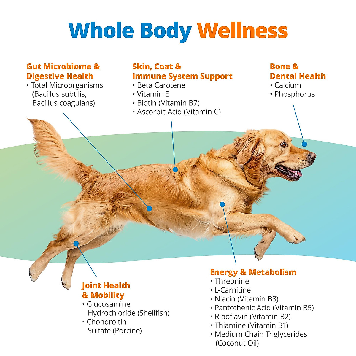 5Strands Dog Multivitamin Chews, 10-in-1, Vitamins & Postbiotics, All Ages & Breeds - Digestion, Brain, Organs, Heart, Mobility, Vision, Skin & Coat, Immunity - Dog Supplement (Peanut Butter, 90ct)