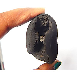 phoenix888 Adwaitya Narsimha Maha Vishnu Shaligram Nepal Kali Gandaki