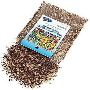 Drought Tolerant Wildflower Seeds Open-Pollinated Bulk Flower Seed Mix for Beautiful Perennial, Annual Garden Flowers - No Fillers - 4 oz Packet