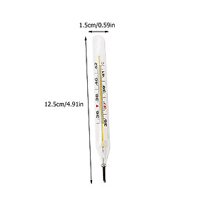 Healifty 2Pcs Mercury General Use Temperature Testing Tools
