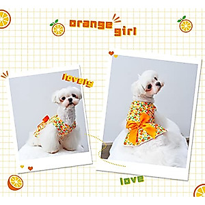MSNFOASM 3-Pack Cherry Lemon Pineapple Print Dog Dress,Doggie Tank Top Vest Dresses,Holiday Cat Outfits,Soft Clothes for Small Dogs Girl(Small)