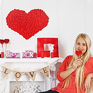 3 Valentine's Table Decoration Signs Be Mine Sign Love Happy Valentine Table Centerpiece Flamingo Wooden Party Decorations for Holiday Valentine's Dinner Party Coffee