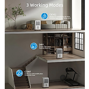 VEAGASO 2500 Sq. Ft Dehumidifier for Basement, 34 Pint Dehumidifiers For Home, Large Room, Auto Drain or Manual Drainage, Digital Control Panel, Auto Defrost, 24H Timer, Child Lock