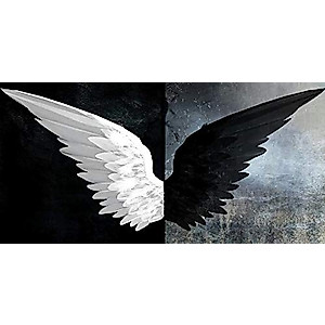 Full Drill Modern Angel Wings Feather Black & White Square Diamond Painting by Number Kits for Adults & Kids Crystal Rhinestone Cross Stitch Beautiful Picture for Wall Decor Gift 55x30cm