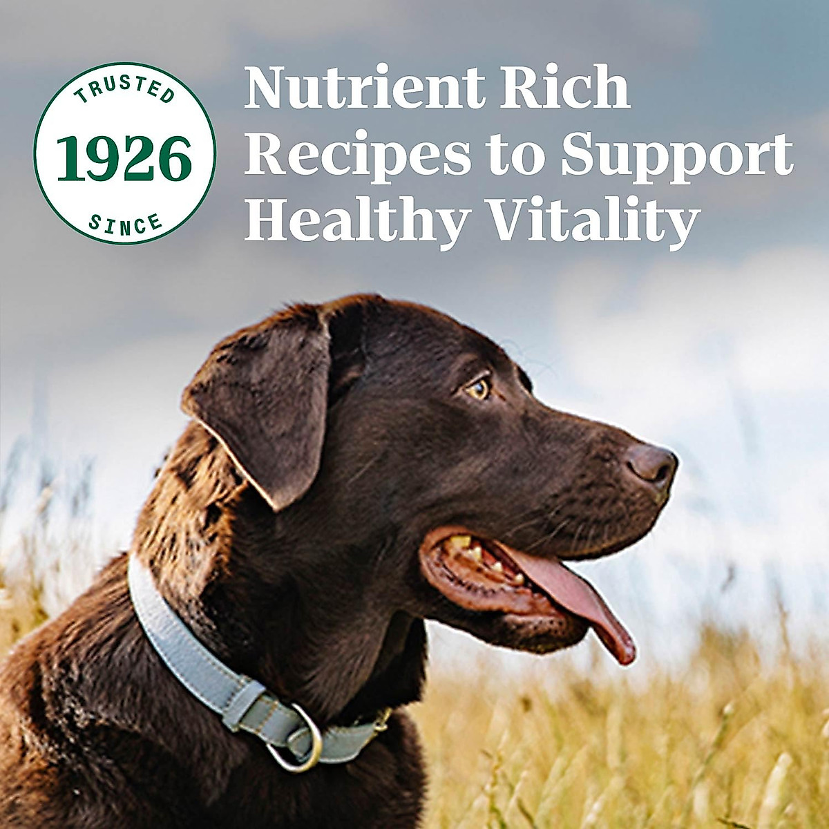 Nutro Natural Choice Adult Dry Dog Food, Salmon & Brown Rice Recipe, 28 lb. Bag