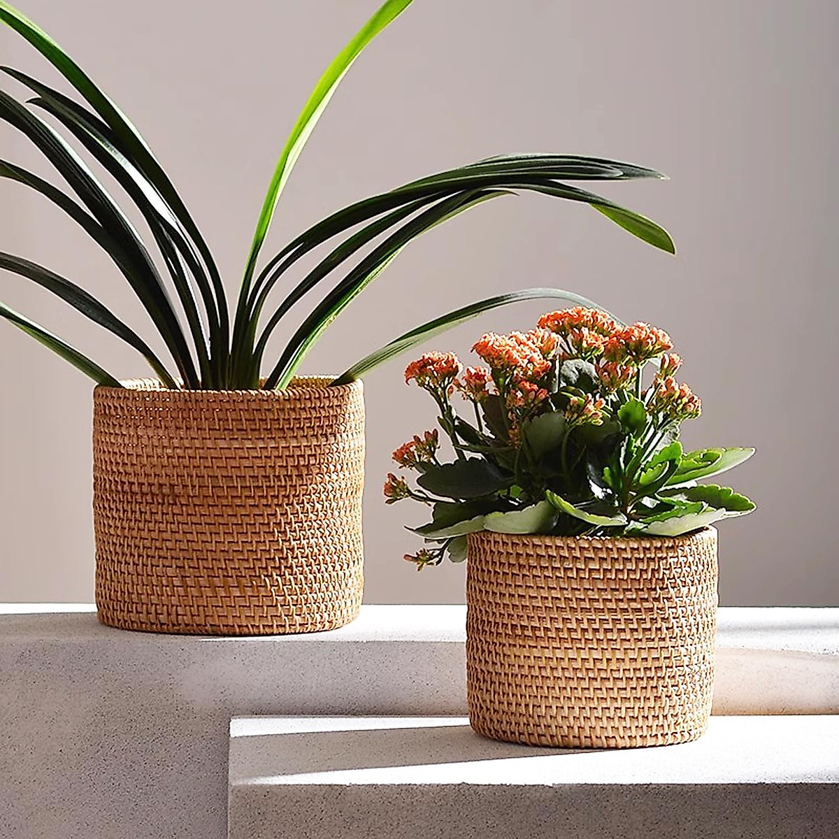 I-LAN Kitchen Rattan Cutlery Utensils Container Holder,Table Wicker Mini Trash Cans,Desktop Storage Bin,Boho Home Decor Flower Pot Cover for Indoor Planter,7.8"x7.8"x7.1"