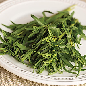 Burpee Mexican Tarragon Seeds 500 seeds