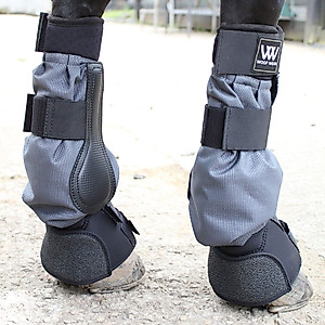 Woof Wear Mud Fever Boots WB0064 - Black/Turquoise Horse Boot Size - XL