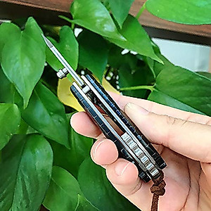 ALBATROSS EDC Mini Damascus Camping Folding Pocket Knife; 1.75" Damascus Blade,Black Resin Handle with Aluminum Mesh Honeycomb Pattern,Gifts Box/Collections (Black)