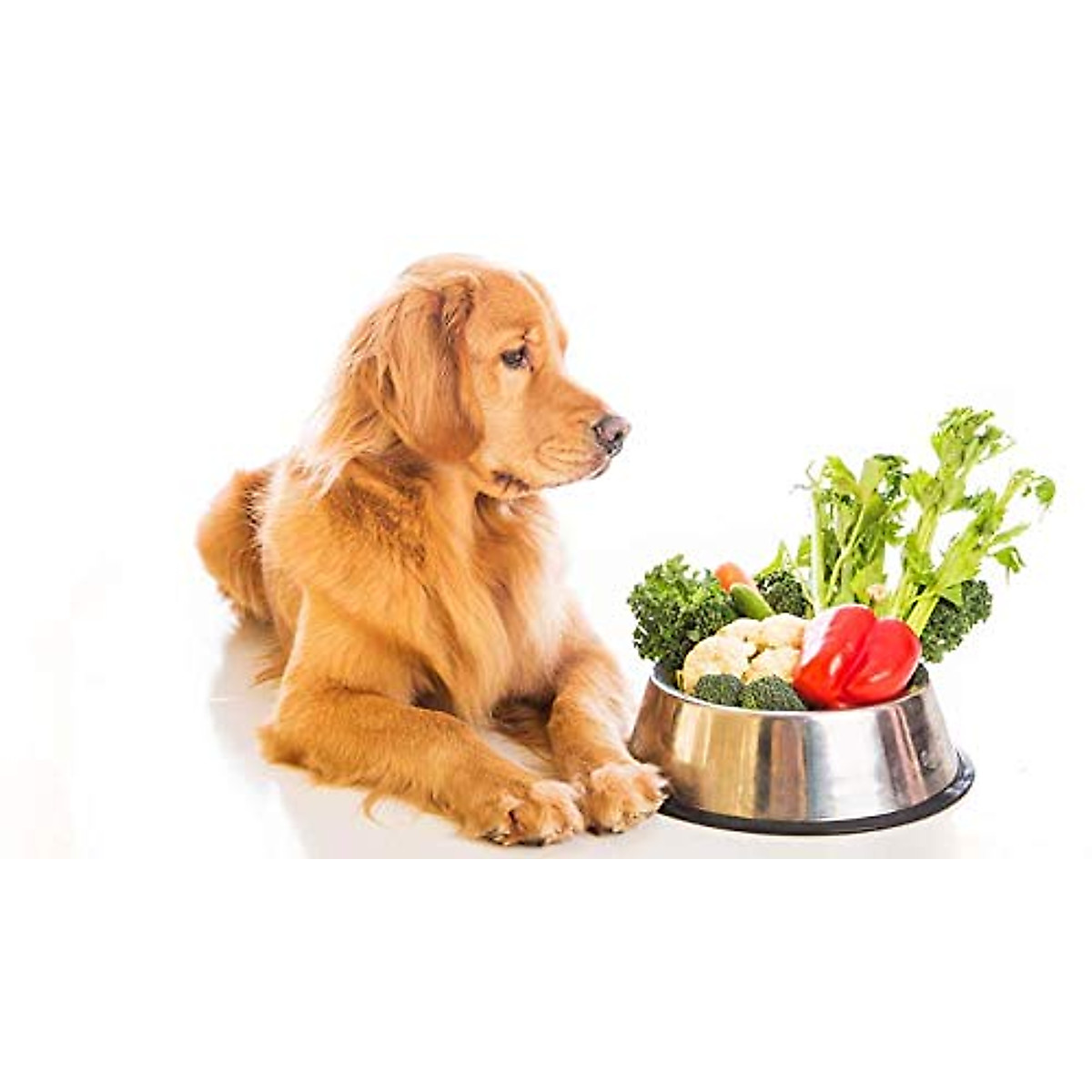 I LOVE MY PETS LLC Dog Immune Vitamins - Ultra Vitamins - Dog Health - Mineral Support - Vitamin c for Dogs Pills - 180 Treats (2 Bottles)