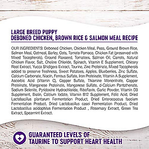 Wellness Complete Health Large Breed Dry Dog Puppy Food with Grains, Natural Ingredients, Made in USA with Real Meat (Puppy, Chicken, Salmon & Rice, 30-Pound Bag)