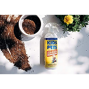 KIDS 'N' PETS - Instant All-Purpose Stain & Odor Remover – 27 fl oz - Permanently Eliminates Tough Stains & Odors – Even Urine Odors - No Harsh Chemicals, Non-Toxic & Child Safe, Multi-Color