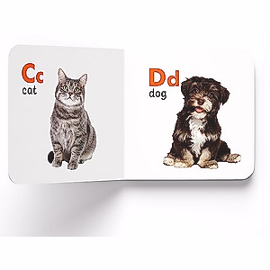 My First Library : Boxset of 10 Board Books for Kids