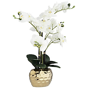 Dahlia Studios Potted Faux Artificial Flowers Realistic White Phalaenopsis Orchid in Silver Gold Ceramic Pot Home Decoration Living Room Office Bedroom Bathroom Kitchen Dining Room 23" High