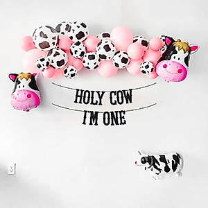 Holy Cow I'm One Banner Farm Themed 1st Birthday Party Decoration for Western Cowboy and Cowgirl First Rodeo Birthday Decorations