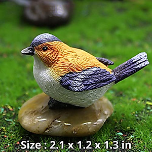 Fairy Garden Accessories, Mini Bird and Bird Nest 4 Piece Miniature Figures Fairy Garden Miniature Moss Landscape DIY Ornament Accessories, Miniature Landscape Decor, Car Decor, Home Decor, Fairy