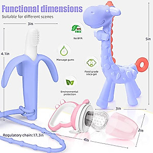 SHARE&CARE Baby Teething Toys for Girls and Natural Organic Fruit Feeder Pacifier/Baby Teether Chew Toys Fresh Food Feeder/ 1 Teethers and 1 Feeder with 3 Silicone Sacs(Purple)
