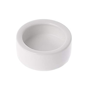 7haofang Ceramics Reptile Feeder Water Food Dish Feeding Bowl Turtle Lizard Snake Basin