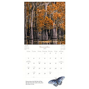 Where the Crawdads Sing Wall Calendar 2023