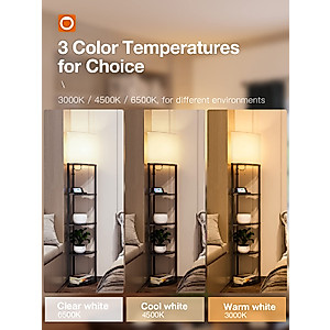 addlon 4-Tier Corner Shelf Floor Lamp, Sector Floor Lamp with Type C, USB Port and 3CCT LED Bulb, Modern Display Floor Lamp for Bedroom, Living Room, Office - Black