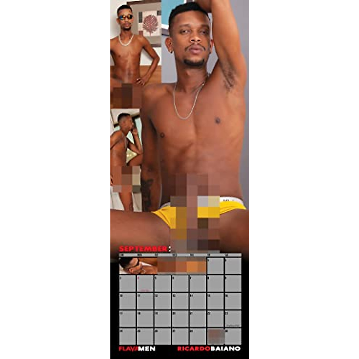 FlavaMen 2023 All Nude Black & Latin Men 13-Month Calendar 8.5 x 22 inch Wall Calendar