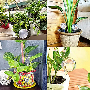 Jnynhha 6PCS Clear Plant Watering Bulbs,Automatic Watering Globes,Plastic Self Watering Bulbs Ball for Plant,Garden,Indoor Outdoor Decoration