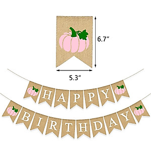Pumpkin Birthday Burlap Banner Our Little Pumpkin Party Decoration Thanksgiving Fall Theme Birthday Supplies Pink