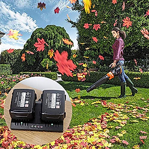 Lasica Replacement for Worx Battery 20V WA3875 Dual Fast Charger Compatible with Worx 18/20 Volt Max Lithium PowerShare Batteries WA3578 WA3525 WA3520 WA3575 WA3512 Charger WA3742 WA3770 WA3881