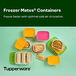 Tupperware Freezer Mates Gen II 8 Piece Food Storage Container Set, Dishwasher Safe and BPA Free (8 Containers, 8 Lids)