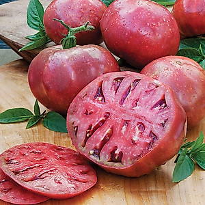 Eden Brothers Tomato Seeds - Cherokee Purple Non-GMO Seeds for Planting, Packet | Low-Maintenance Vegetable Seeds, Plant During Warm Season, Zones 10, 3, 4, 5, 6, 7, 8, 9